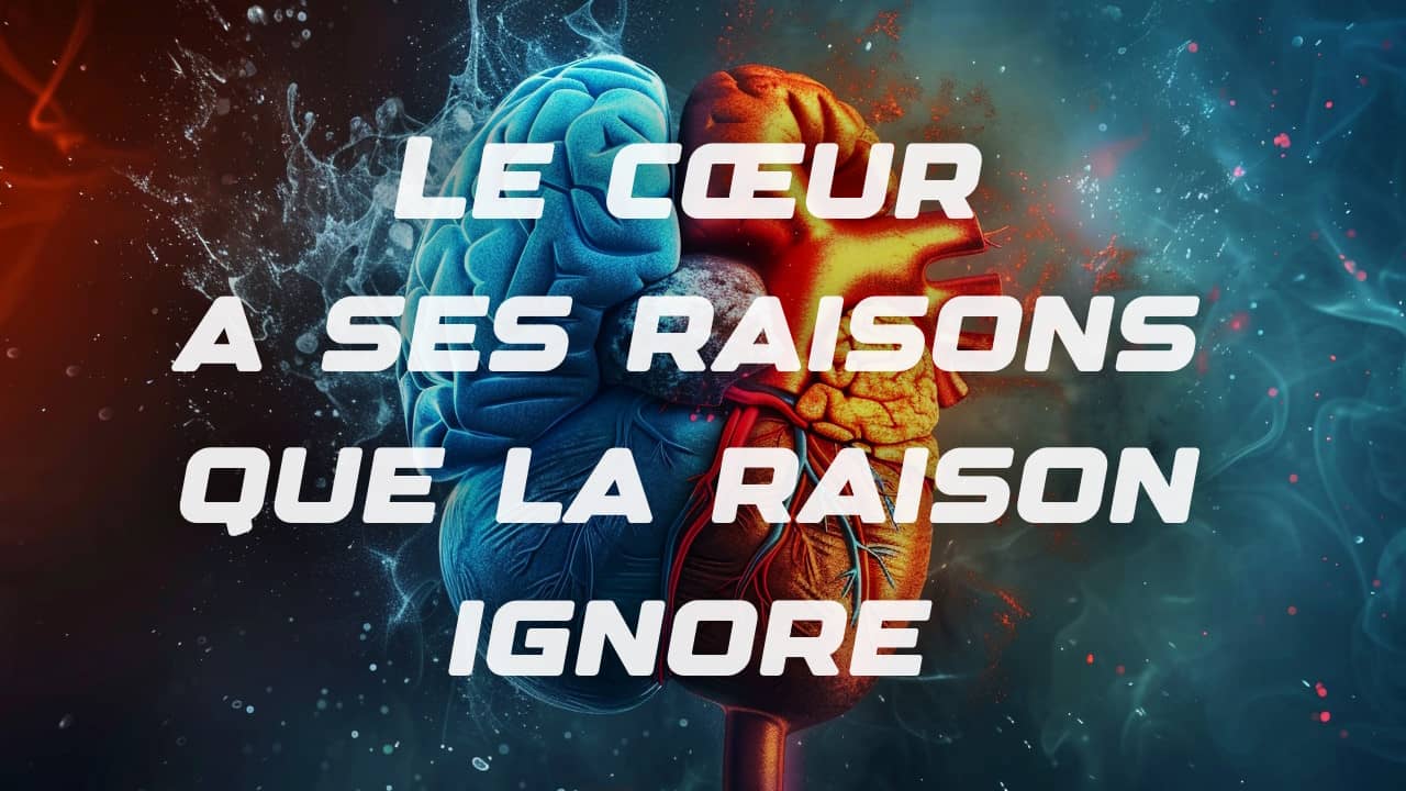 Le Coeur A Ses Raisons Que La Raison Ignore Signification | Chtoby Pomnili