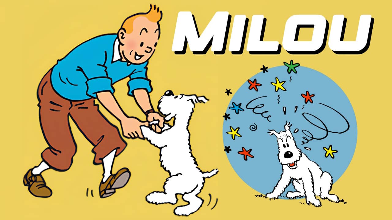 Milou : 16 choses méconnues sur le chien de Tintin