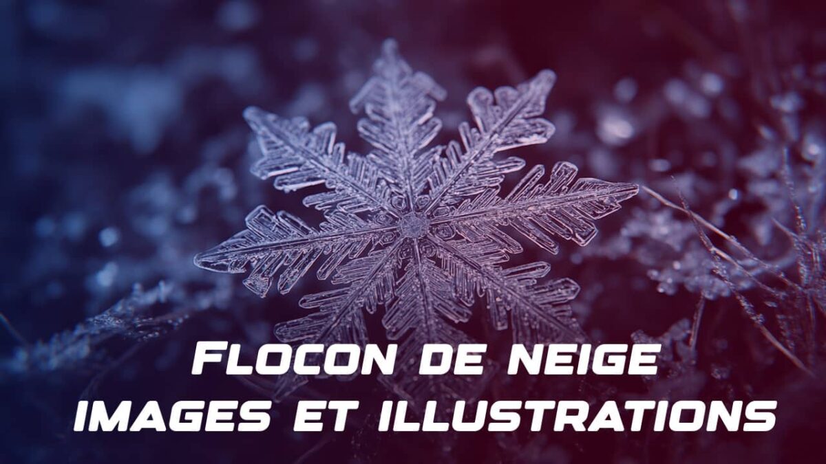 Flocon de neige ️ : images et illustrations gratuites à télécharger