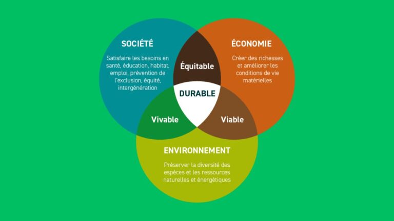 Responsabilité Sociétale des Entreprises : c'est quoi la RSE