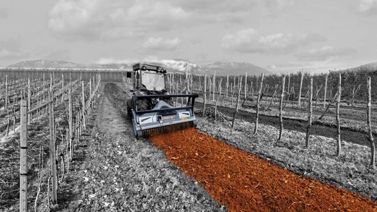 Le rôle clé des broyeurs forestiers dans le défrichage durable